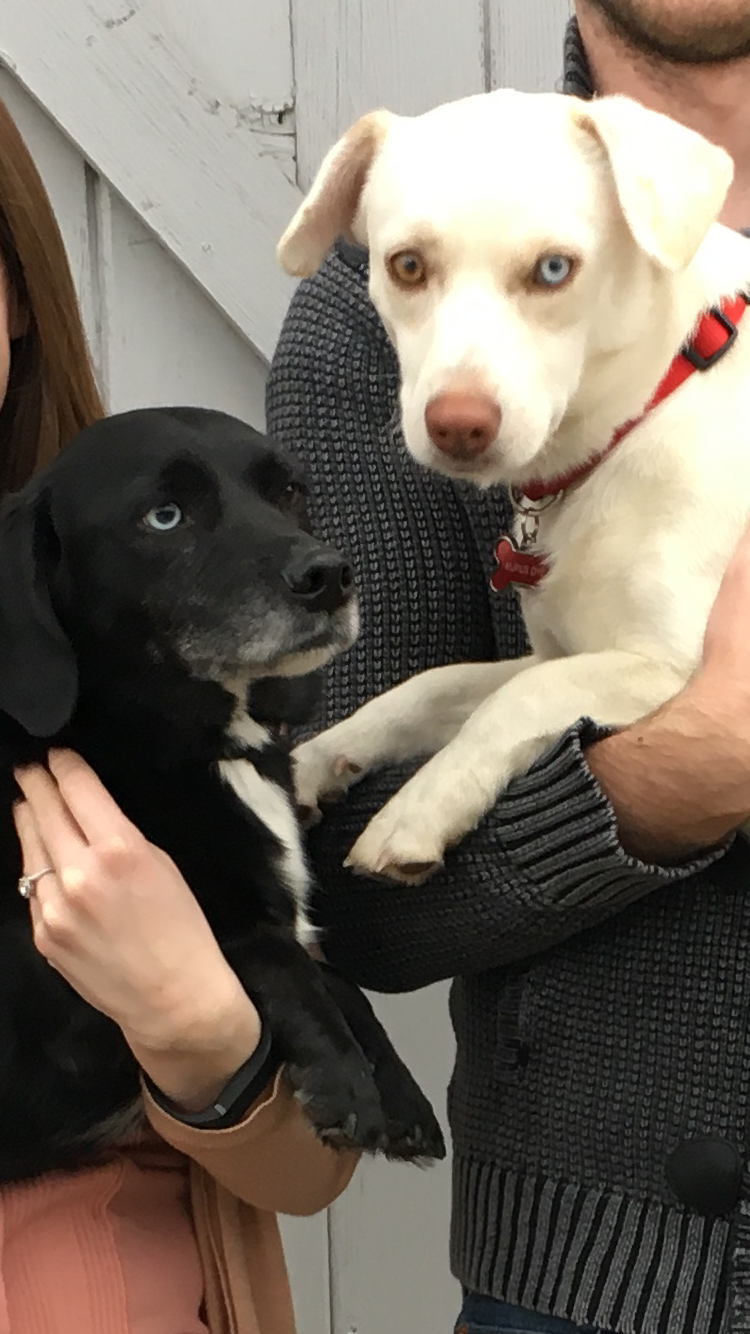 Fun facts about new staff! | UPMC Enterprises